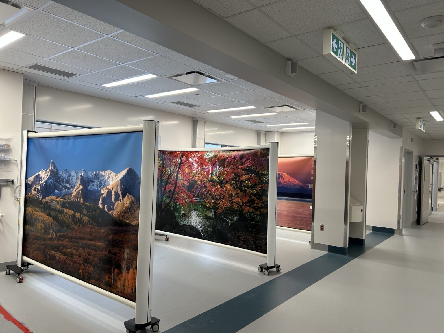 Medical Privacy Screens | Portable & Wall-Mounted Dividers